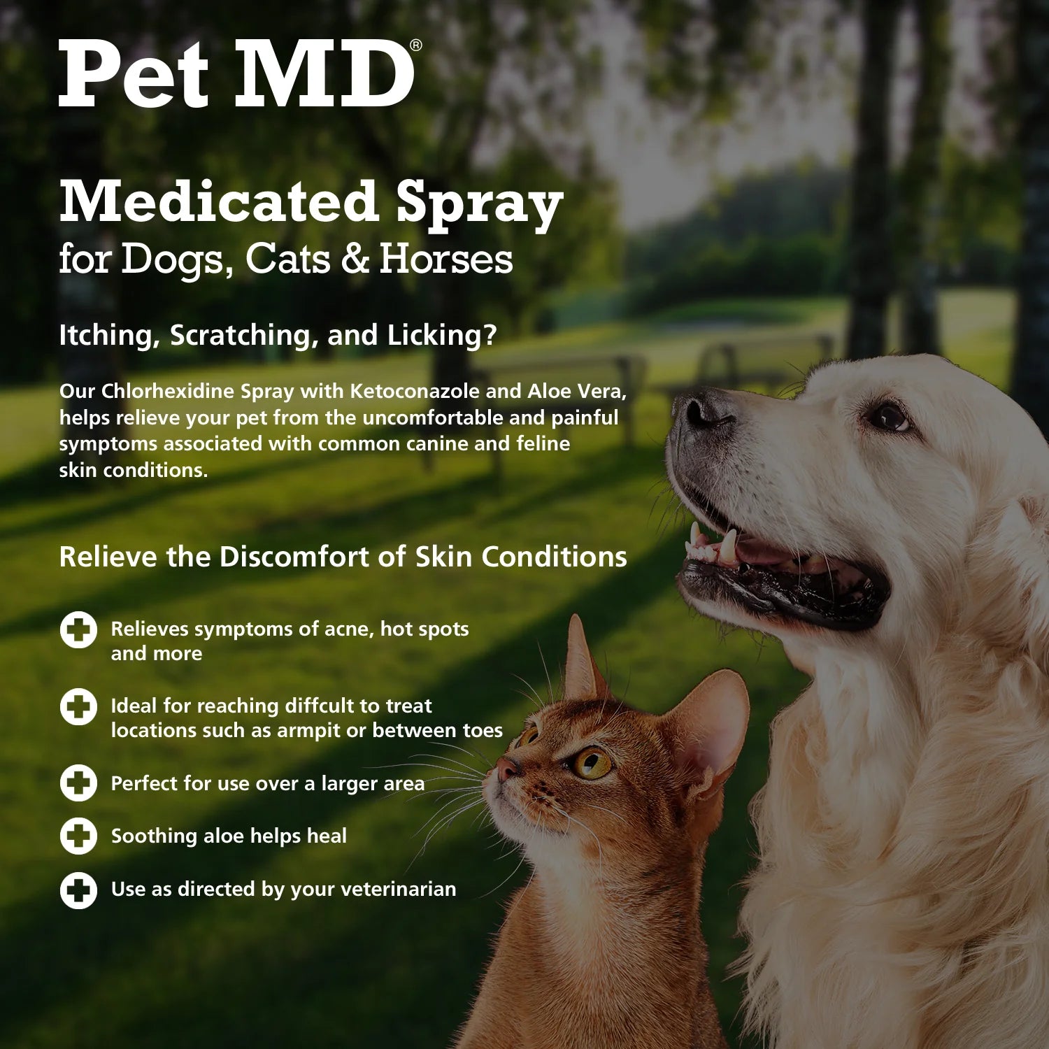 Antiseptic & Antifungal Medicated Spray for Dogs, Cats and Horses - 8 ...