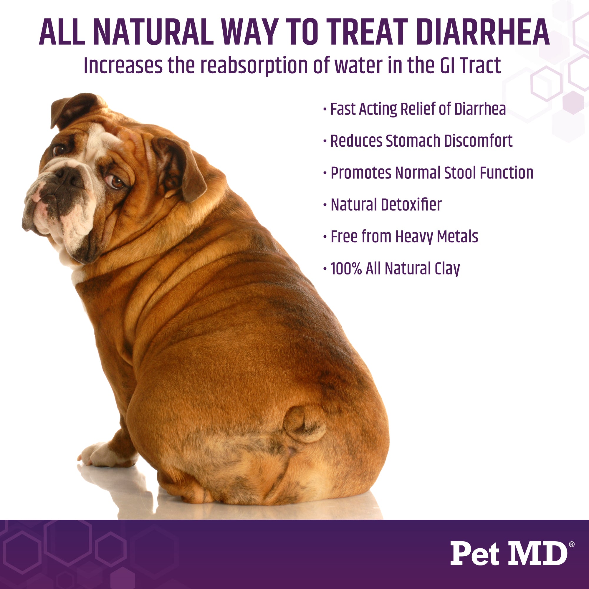 Pet MD Stool Fix for Dogs and Cats – Pet MD Store